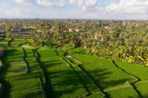 Rejseguide til Bali: Alt du skal vide inden dit besøg på Gudernes Ø